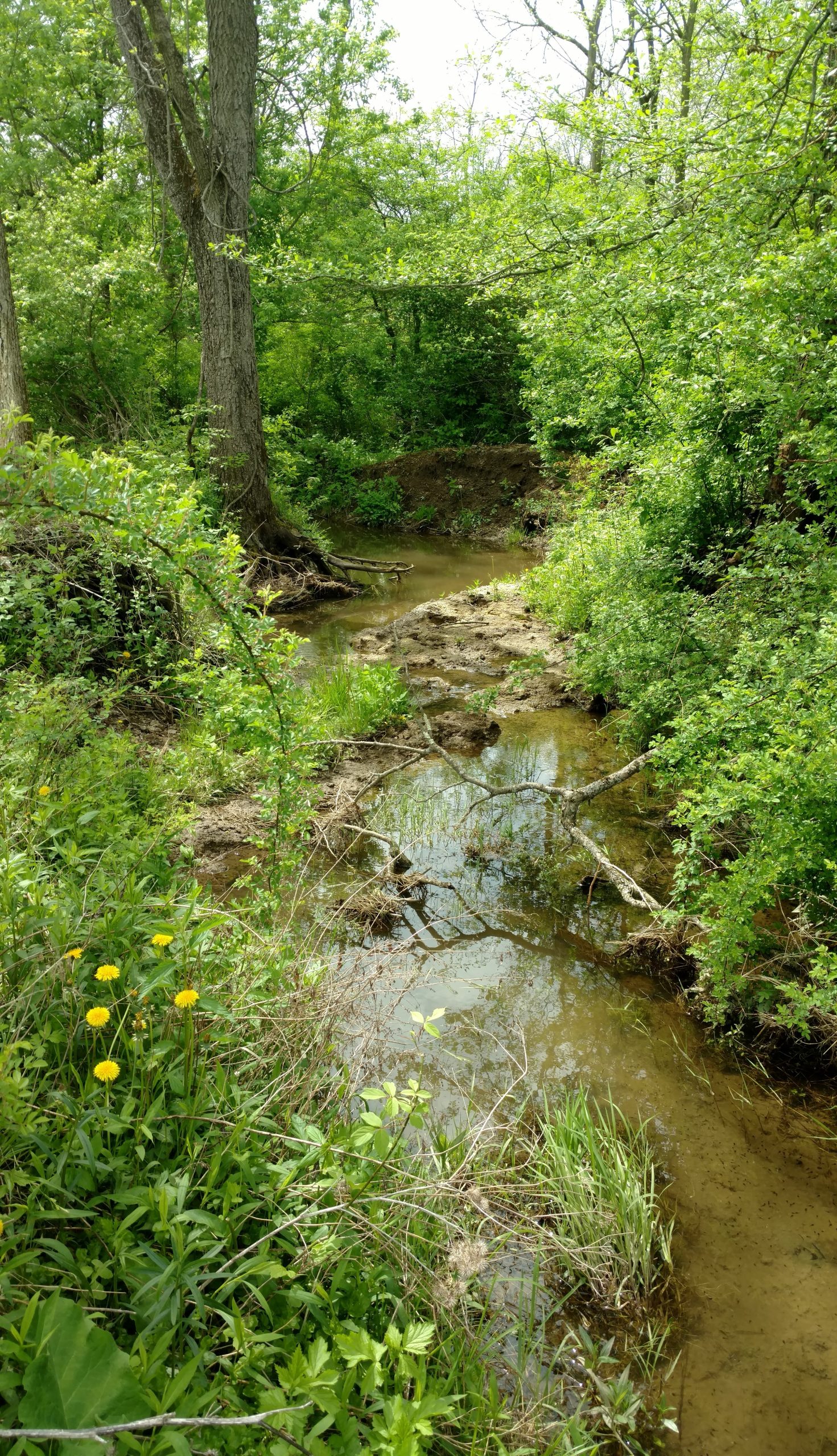 Land acquisition aims to connect Niss Waterfall Preserve to Richland B ...