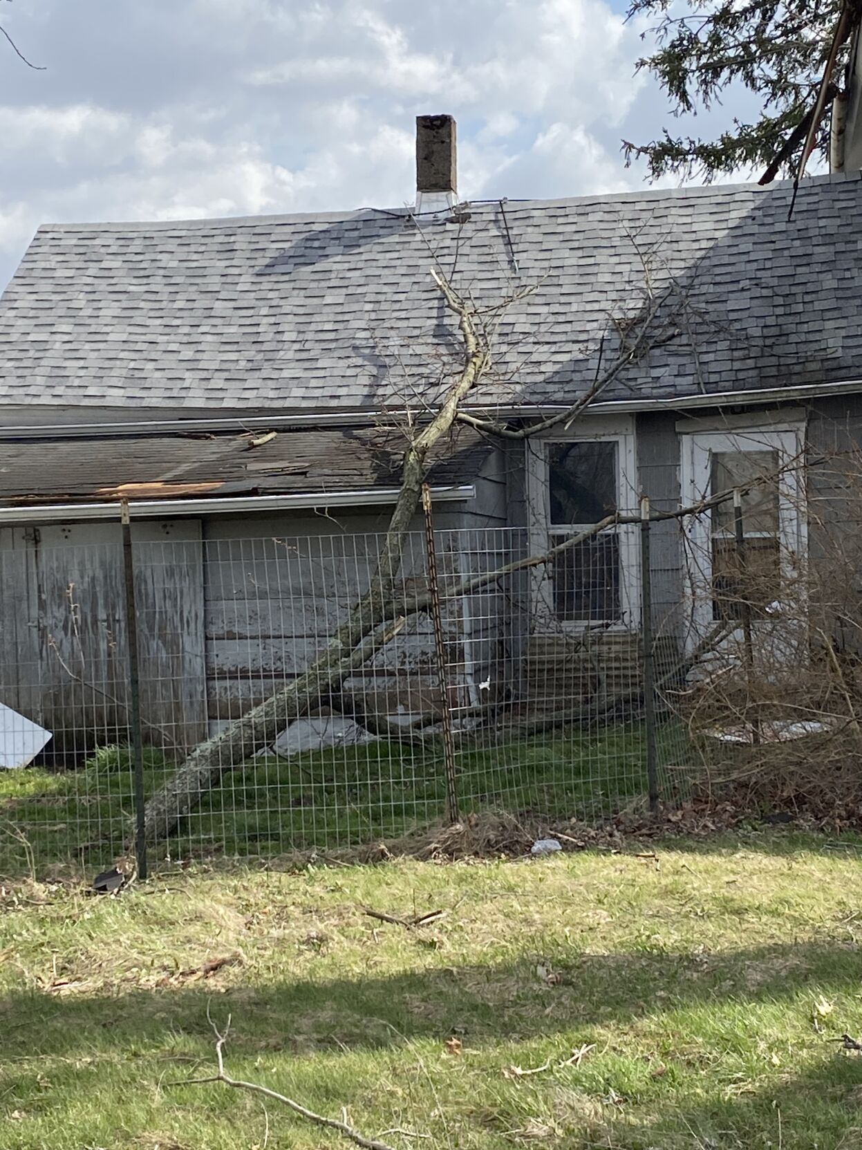 GALLERY: April 1 wind damage