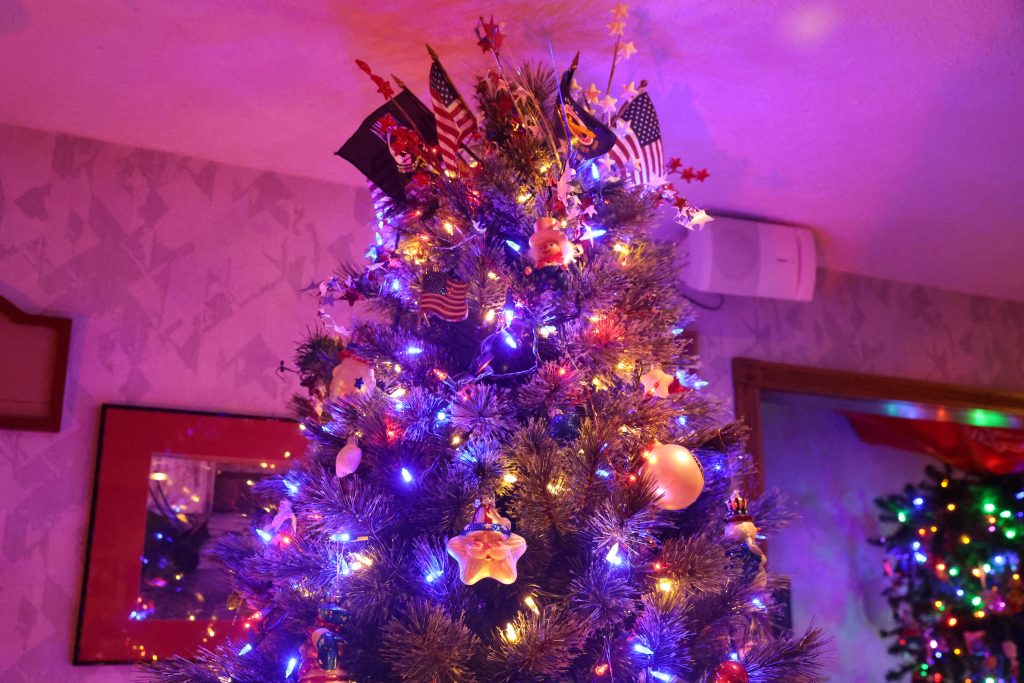 Herlihy Christmas House open for tours this weekend